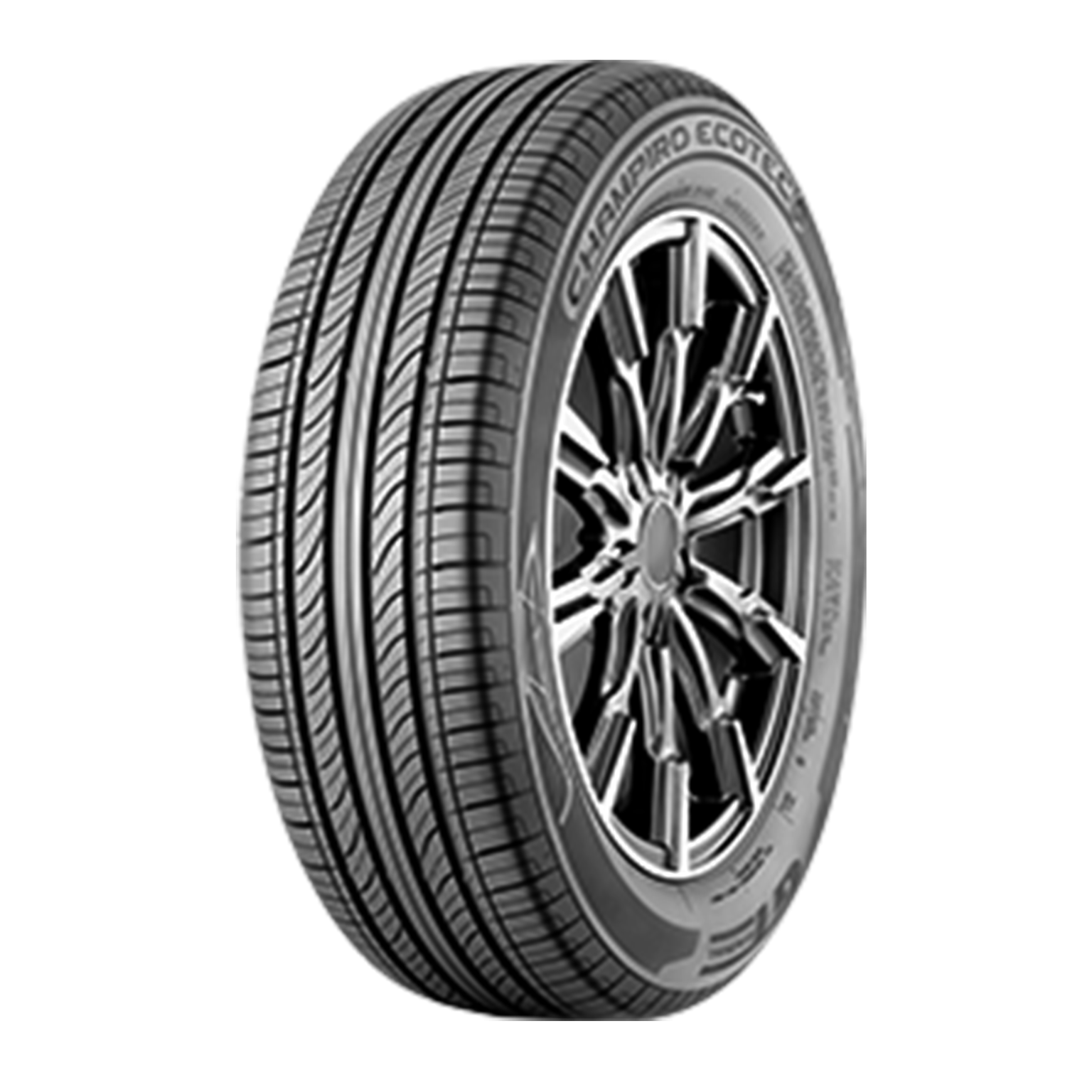 CHAMPIRO ECOTEC – Multi Gratia Tegal